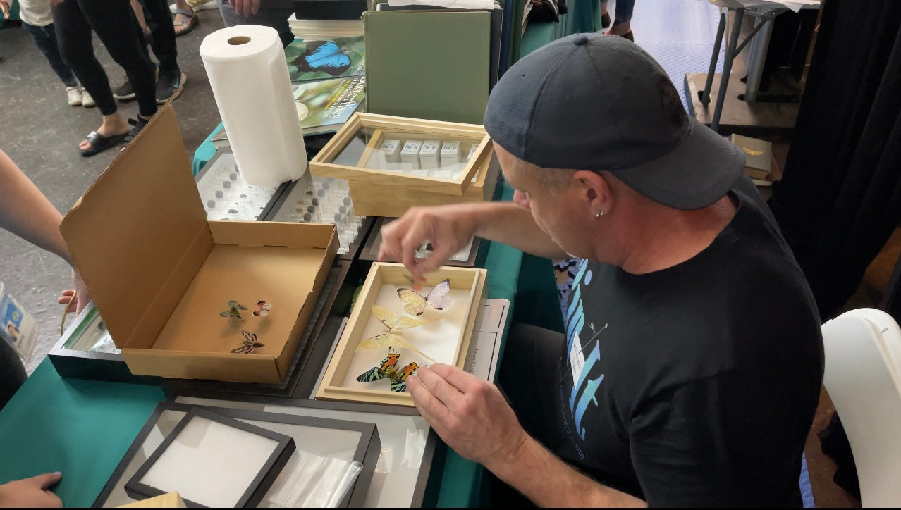 Pin-It Entomological Supply